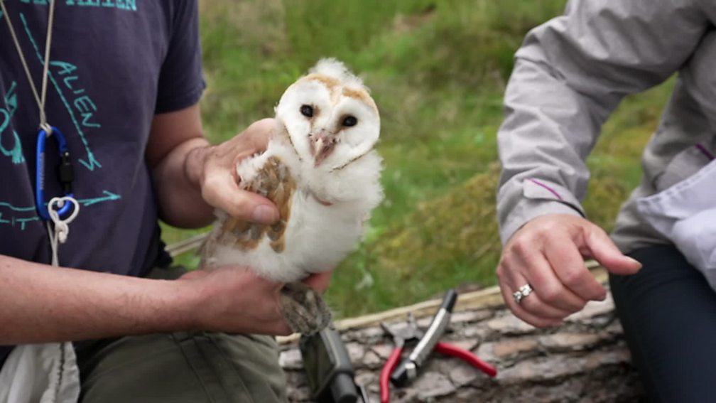 BBC Scotland - Landward