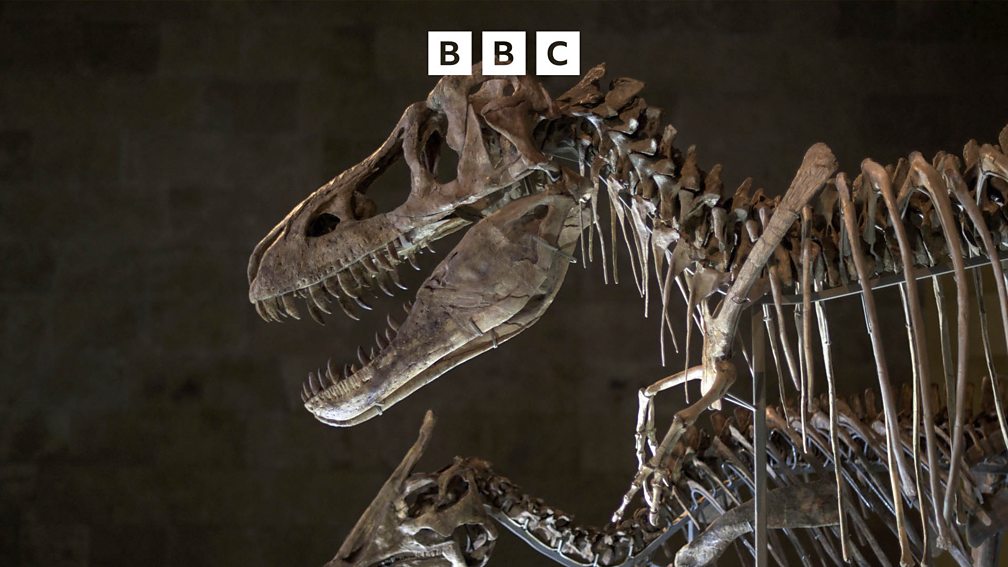 BBC World Service - The History Hour - Downloads