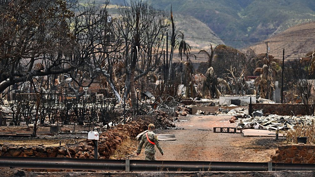 BBC World Service - From Our Own Correspondent