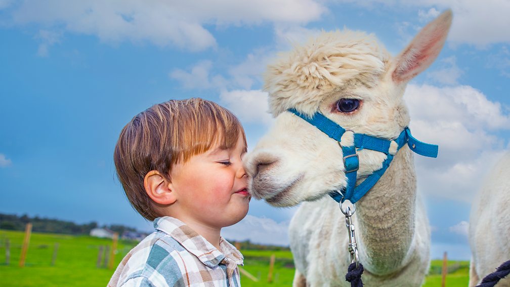 BBC Two - This Farming Life
