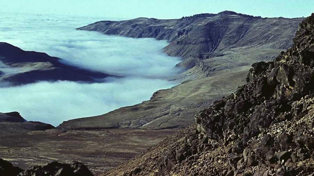 BBC World Service - Witness History