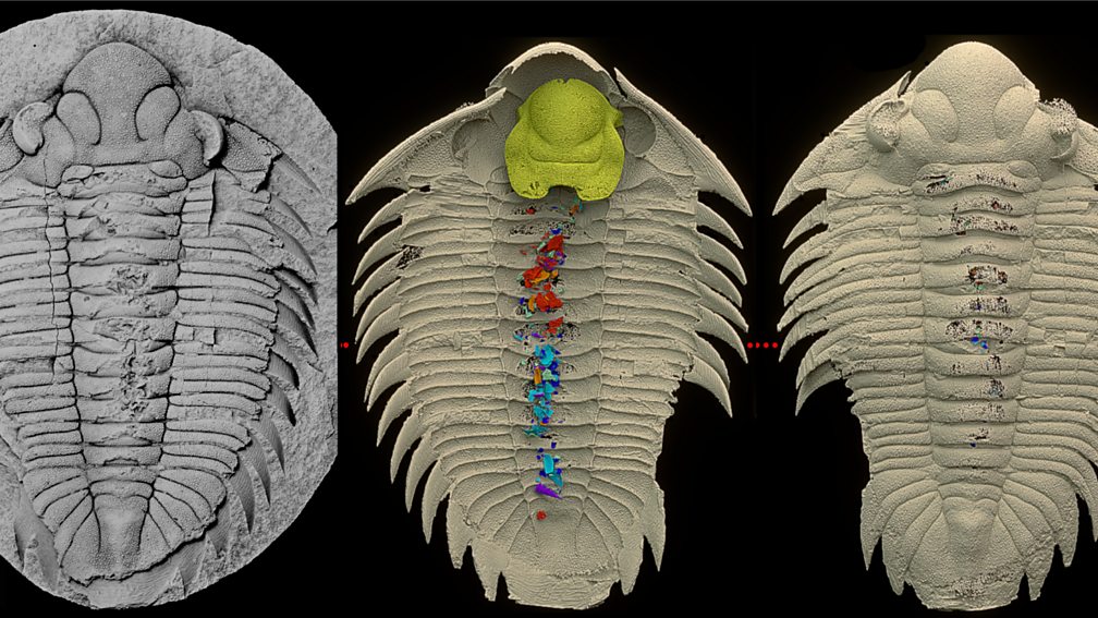 BBC World Service - Science In Action - Available now