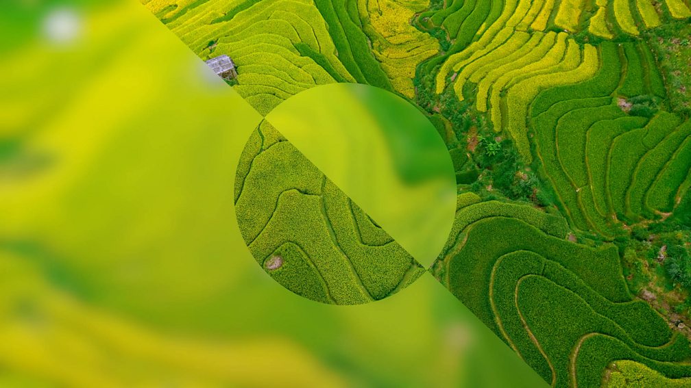 BBC News - Future Earth