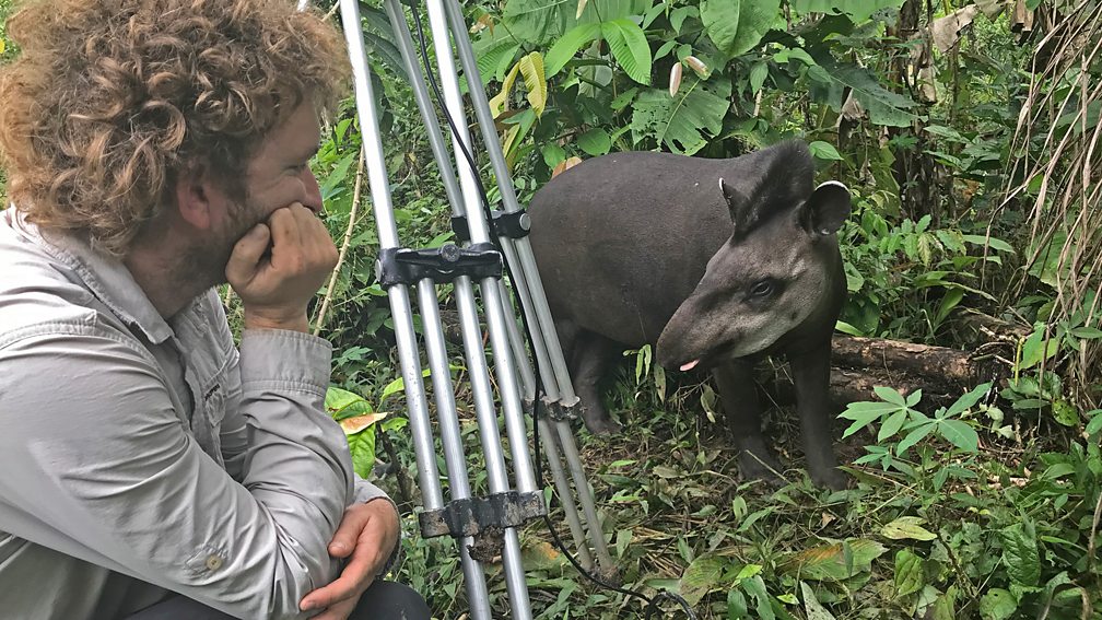 BBC One - Planet Earth III, Series 1, Forests