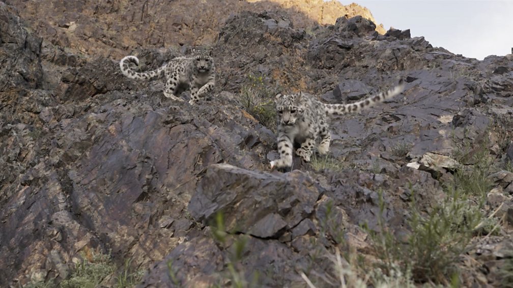 BBC One - Planet Earth III, Series 1, Extremes