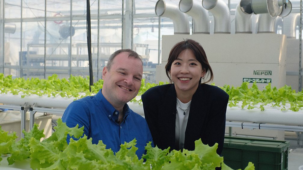 BBC News - TechXplore