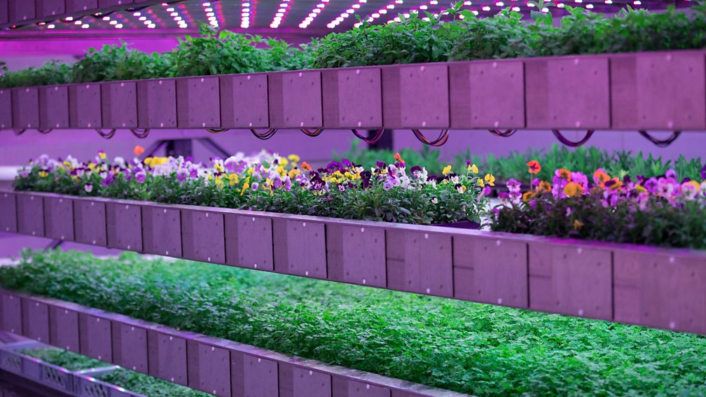 BBC World Service - Tech Life - Available now