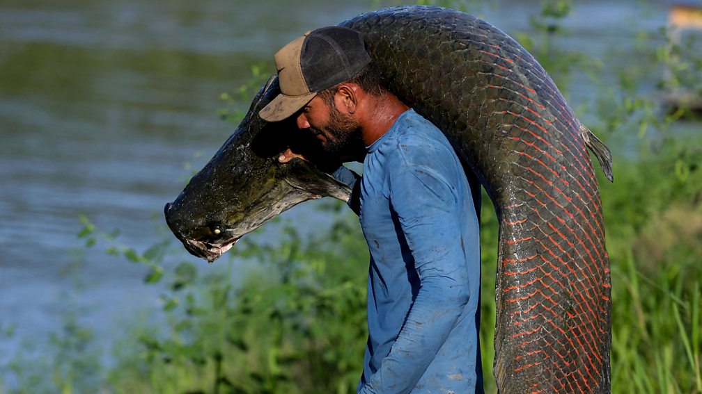 BBC World Service - The Documentary Podcast - Downloads