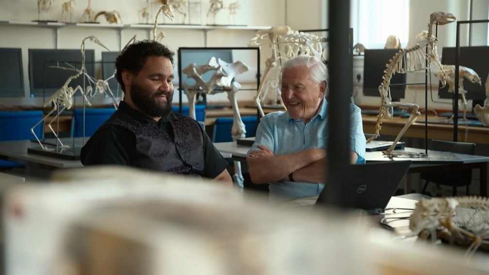BBC One - Attenborough and the Giant Sea Monster