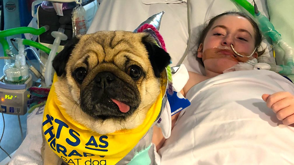 BBC Radio 4 - Radio 4 Appeal, Pets As Therapy