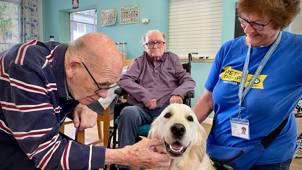 BBC Radio 4 - Radio 4 Appeal, Pets As Therapy