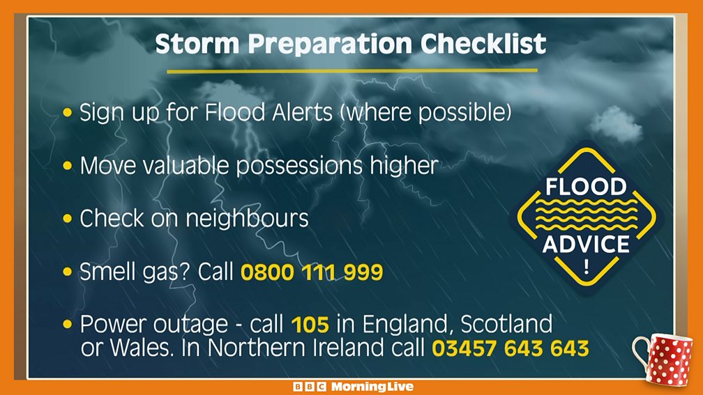 BBC One - Morning Live - Matt Allwright