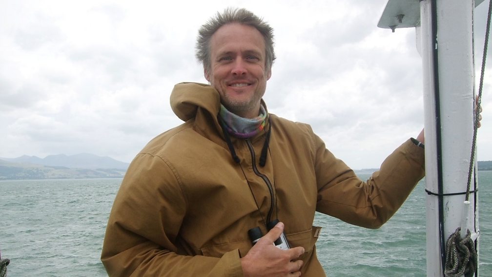 BBC Radio Wales - Celebration - Available now