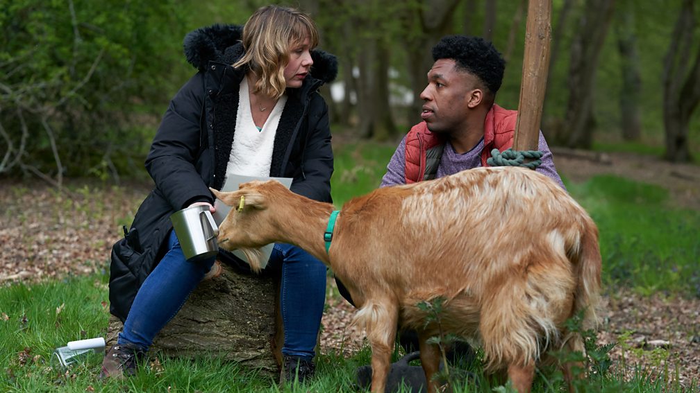 BBC Two - David Mitchell's Outsiders