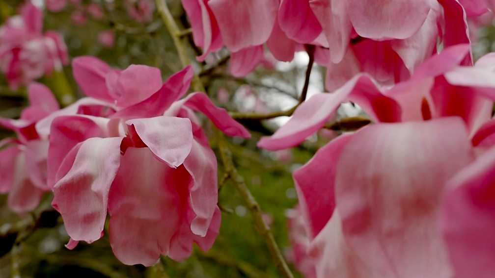 BBC Two - My Life, My Religion - Episode guide