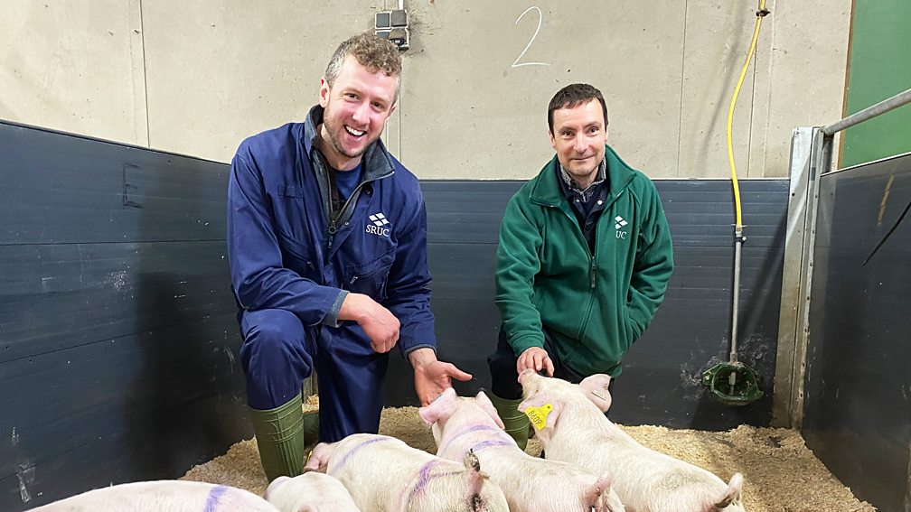 BBC Scotland - Landward - Available now