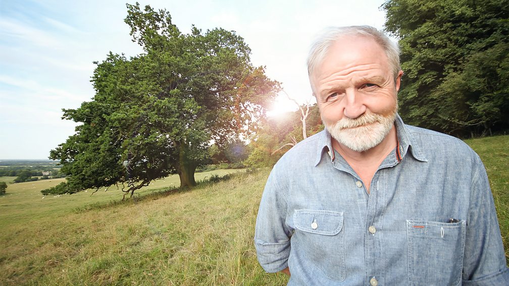 BBC Four - Oak Tree: Nature's Greatest Survivor, The ink that helped to ...