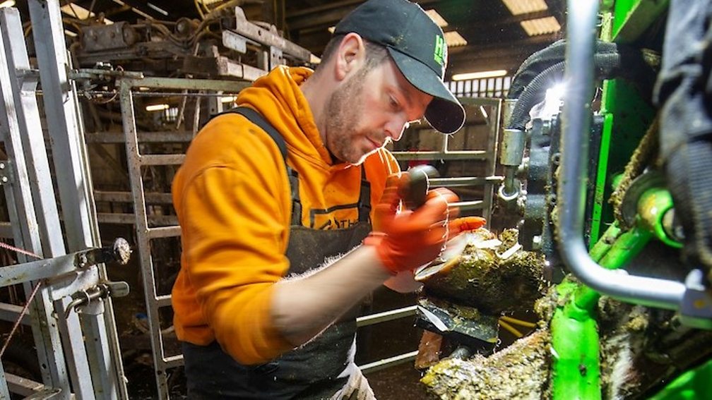 Bbc News Scotland The Cow Hoof Trimmer Who Is Watched By Millions