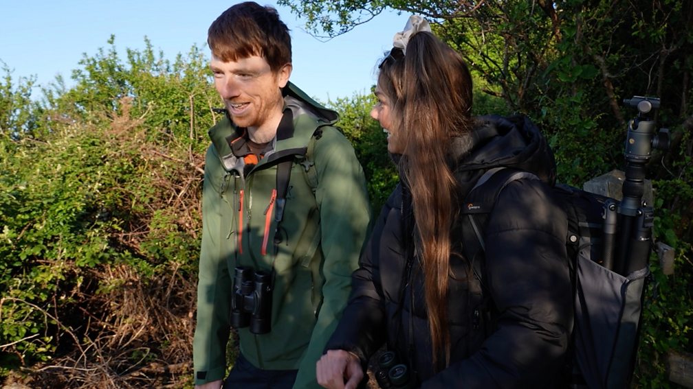 BBC Two - Springwatch, Hannah Stitfall goes behind the scenes on ...