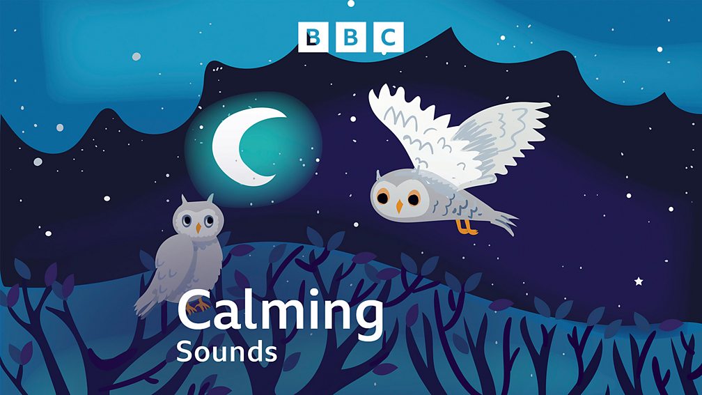 CBeebies Radio - Schedules