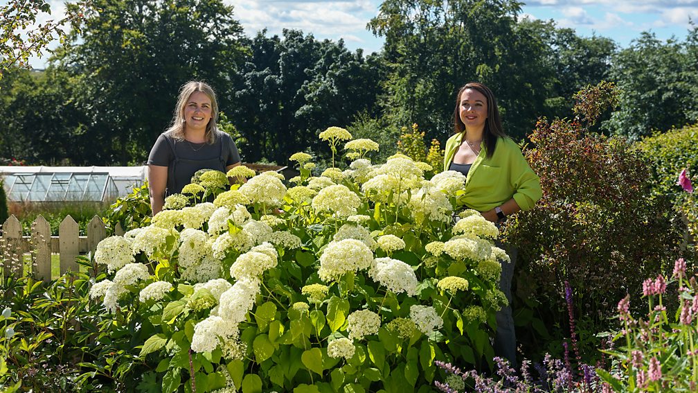 BBC Scotland - Beechgrove Garden, 2024 - Episode guide