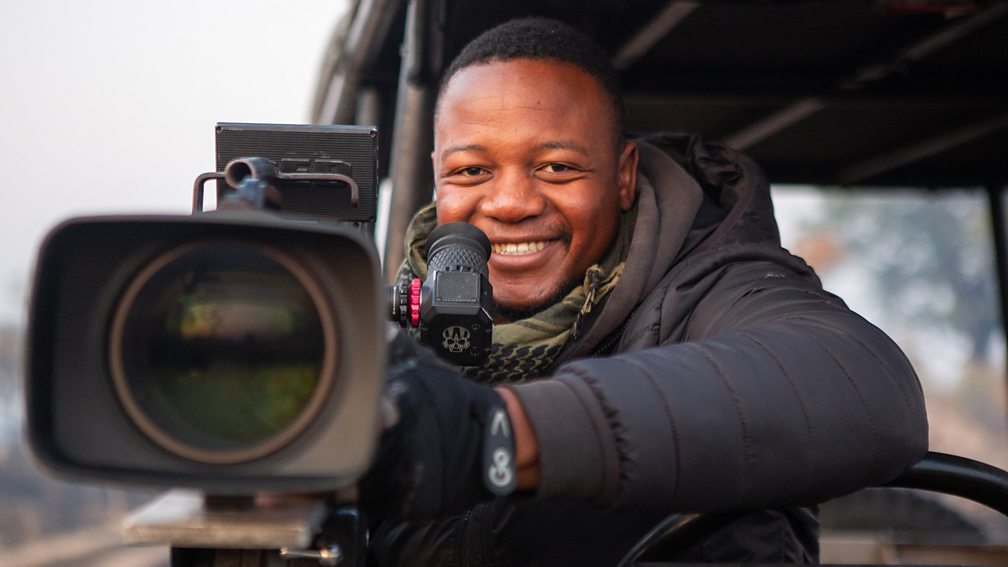 BBC Two - Big Cats 24/7 - Anna Dimitriadis