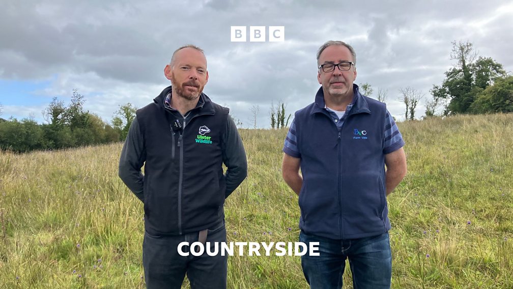 BBC Radio Ulster - Schedules