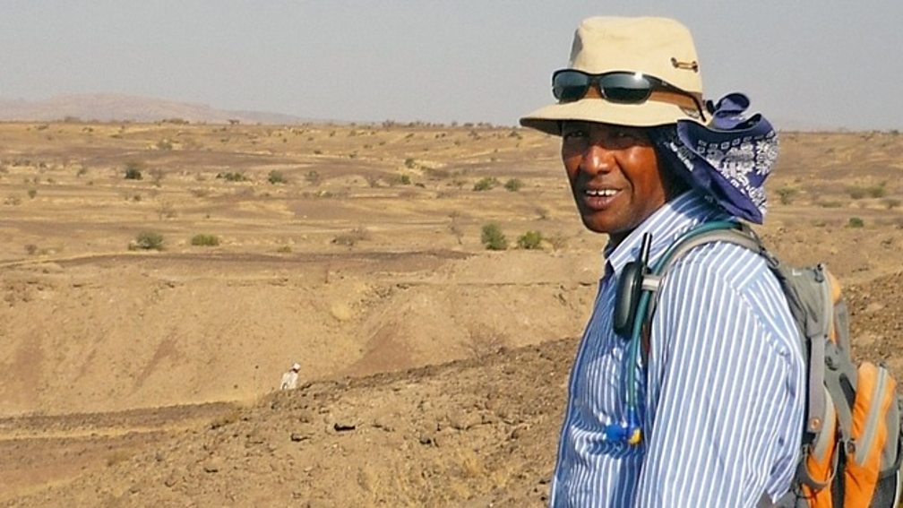 BBC World Service - Witness History, Ardi: The oldest skeleton of a ...