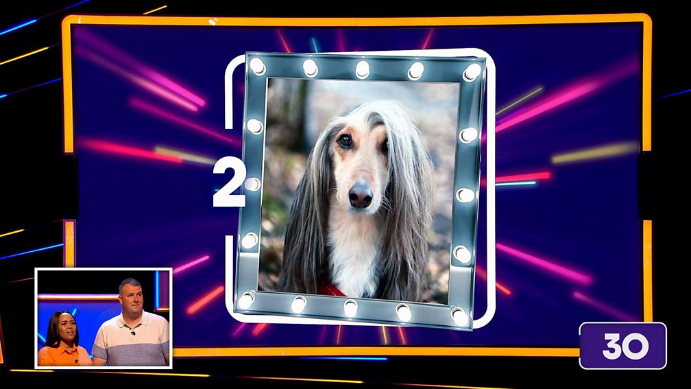 BBC One - Alan Carr's Picture Slam, Series 2, Episode 1