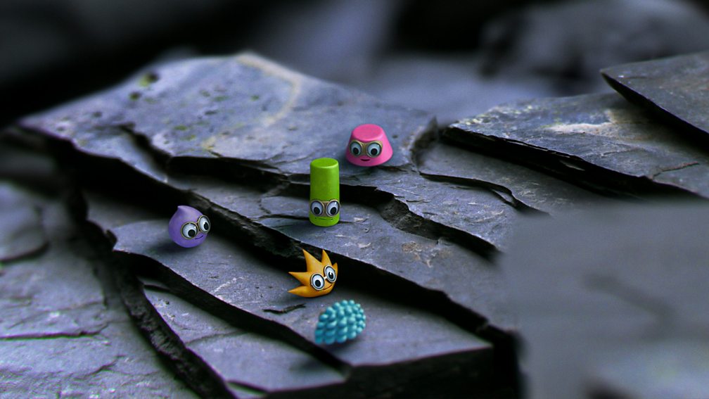 CBeebies - Tiny Wonders, Series 4 - Episode guide