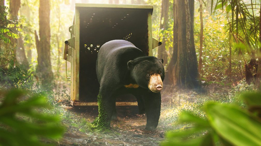 BBC One - Asia - Episode guide