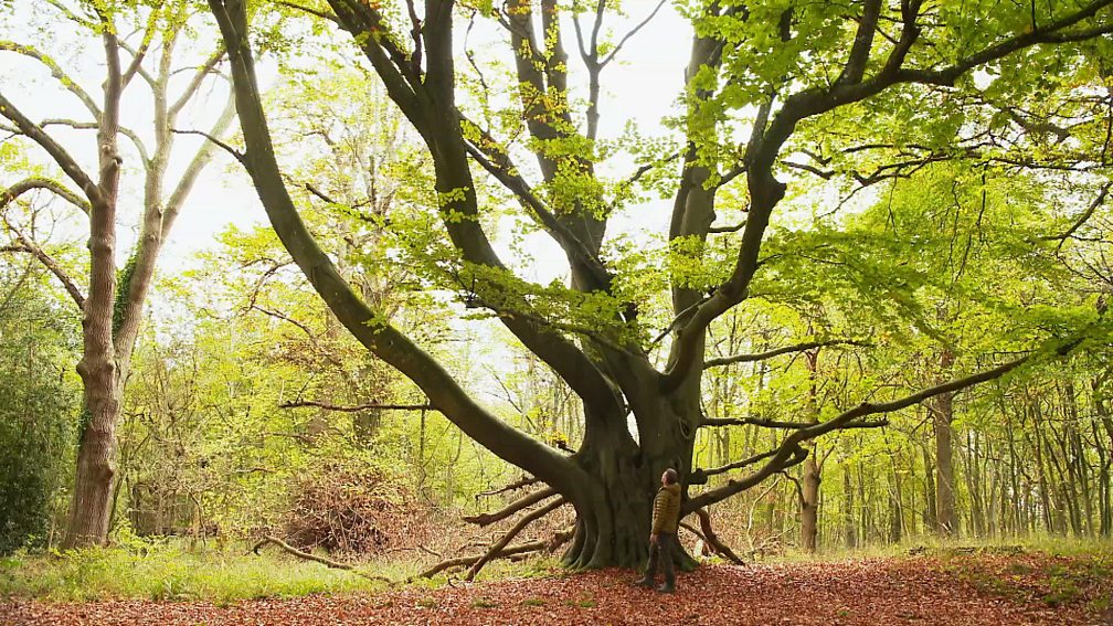 BBC One - The One Show