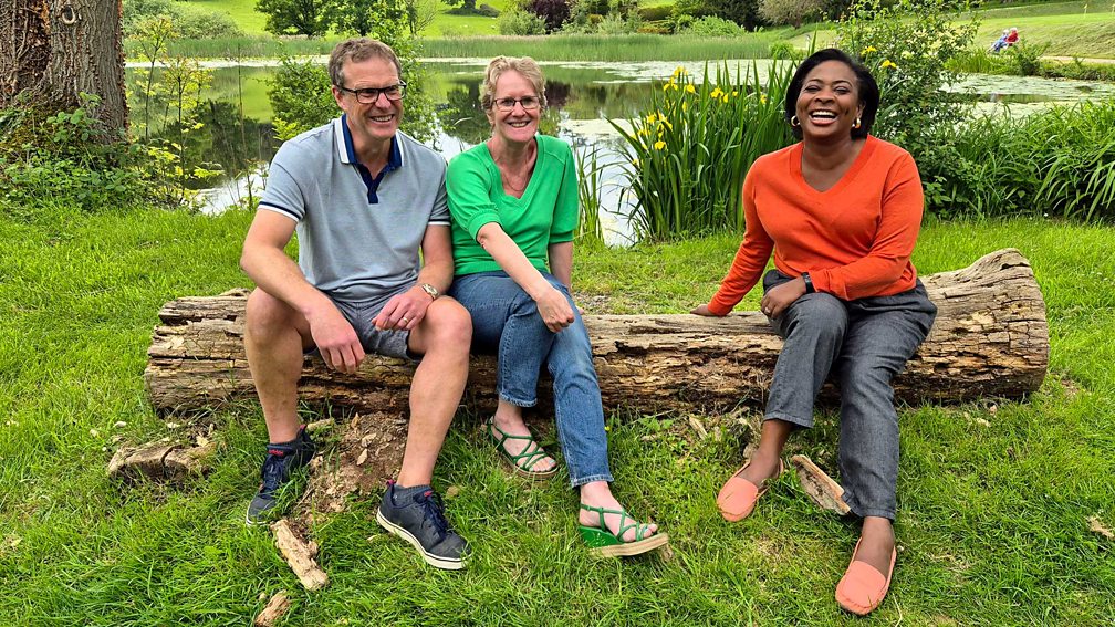 BBC Two Northern Ireland HD - Schedules, Thursday 21 November 2024