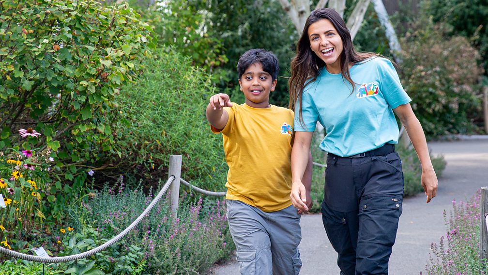 CBeebies - Schedules, Tuesday 3 December 2024