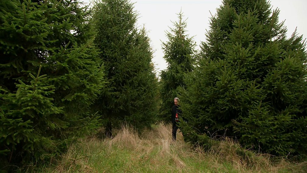 BBC One - Bargain Hunt, Series 70, Christmas Special - Newark 27