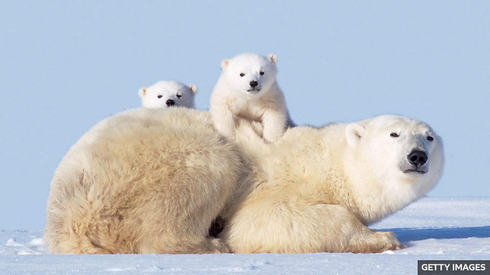 BBC - BBC Learning English, Titanic: A child survivor's story