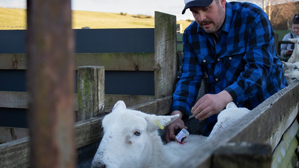 BBC Two - This Farming Life, Series 7