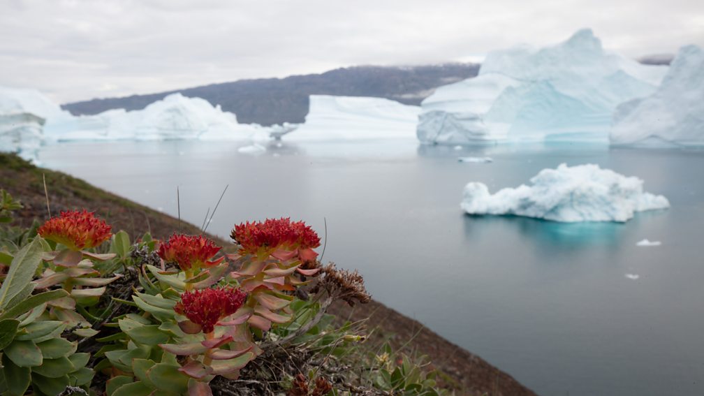 BBC World Service - Science In Action - Available now