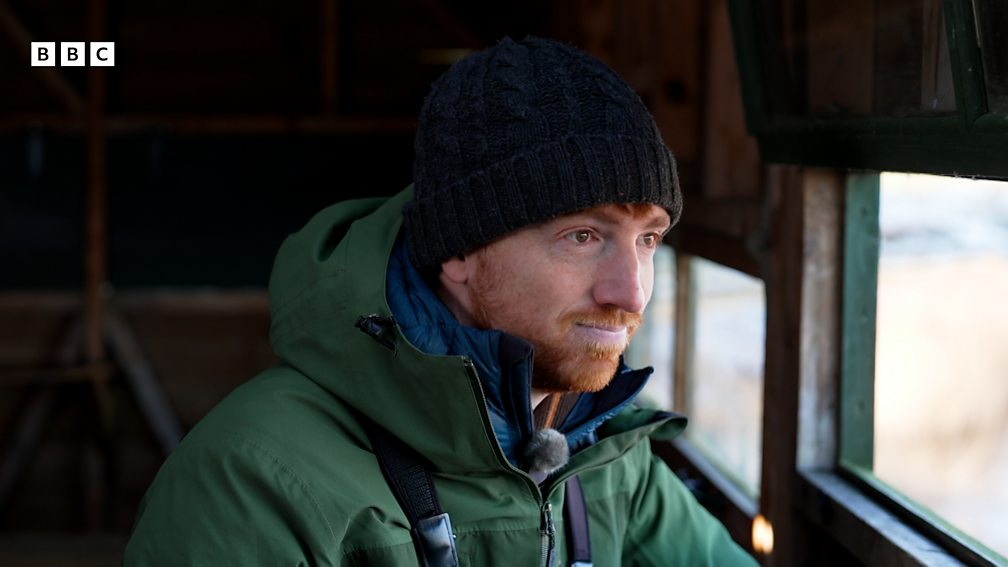 BBC Two - Winterwatch, Series 9, 15 minutes of winter spectacles