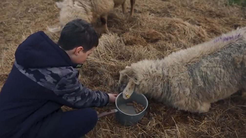 BBC Two - This Farming Life