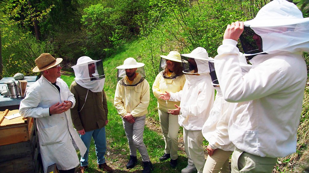 BBC One - The Apprentice, Series 19 - Episode guide