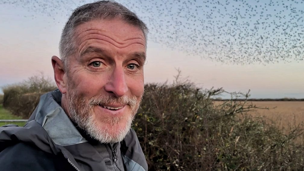 BBC Two - Winterwatch