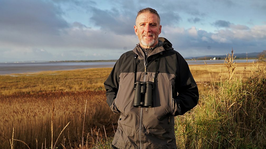 BBC Two - Winterwatch - Available now