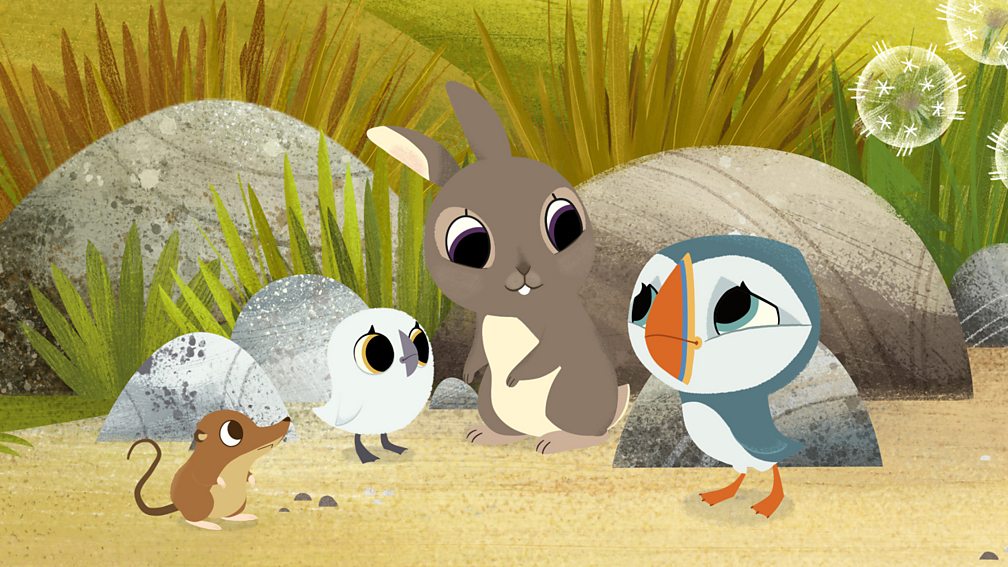 Puffin Rock - CBeebies - BBC