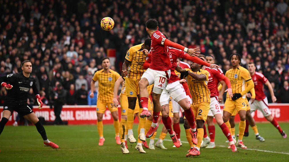 BBC World Service - Witness History, Siegfried and Roy tiger attack ...