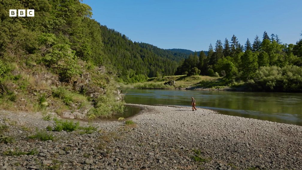 BBC One - Our Changing Planet, Restoring Our Rivers