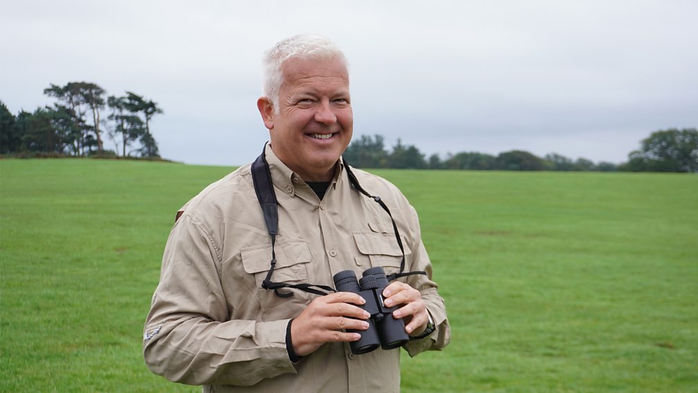 BBC One - Weatherman Walking