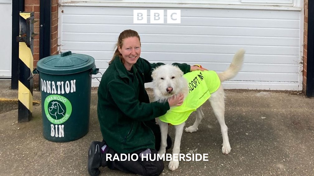 BBC Radio Humberside - BBC Radio Humberside, Beverley actor stars in ...