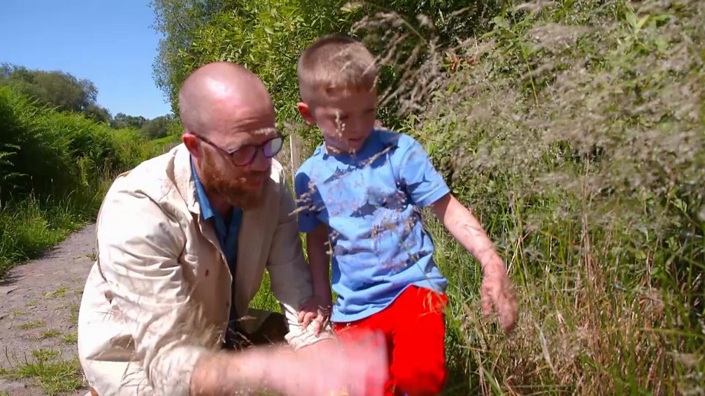 CBeebies - Teeny Tiny Creatures, Facts about Butterflies | Ferne & Rory's Teeny Tiny Creatures ...