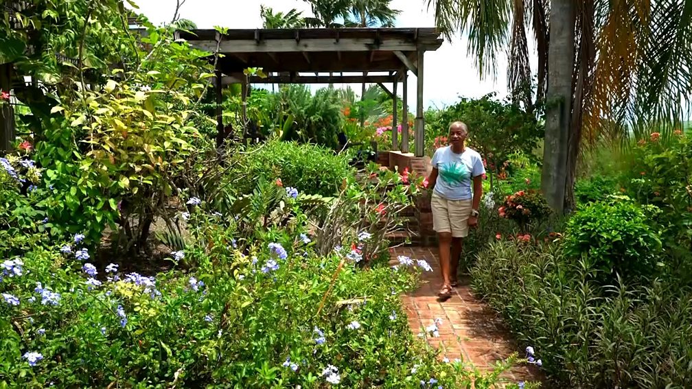 BBC Two - RHS Chelsea Flower Show, 2025, RHS: Countdown to Chelsea ...